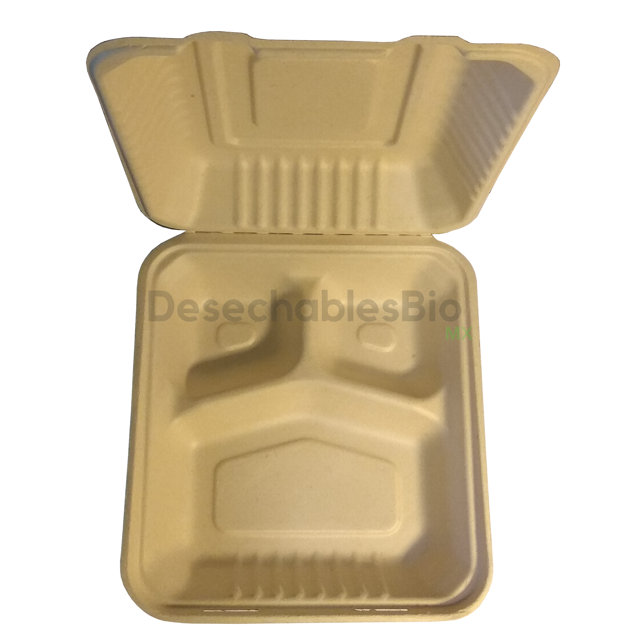 Contenedor Almeja 8''x8'' con 3 Divisiones Biodegradable | Desechables ...